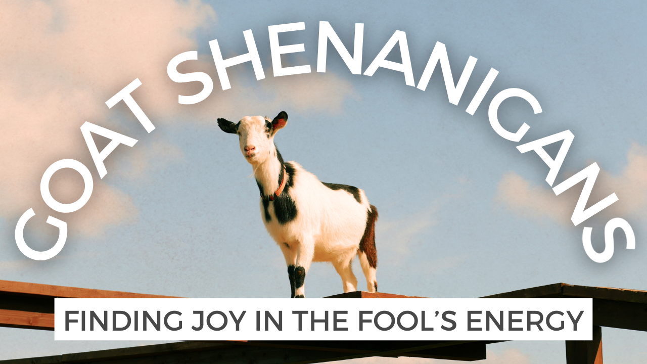 Goat Shenanigans: Finding Joy in the Fool's Energy! - Channel Your Genius